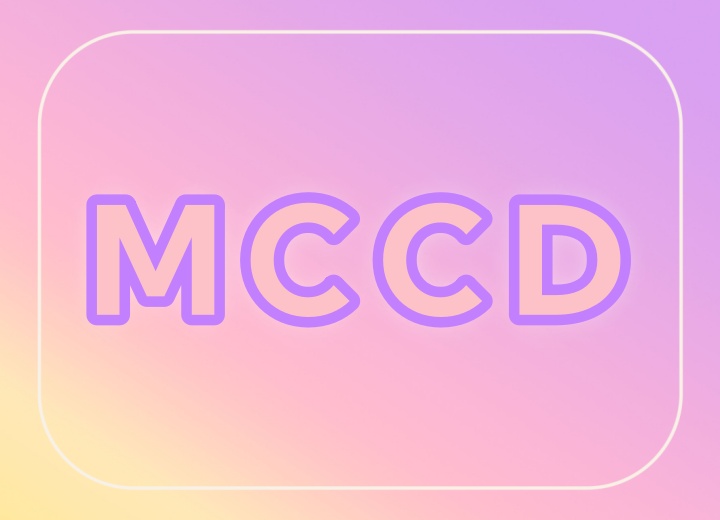 mccd车展系列】☆ 06 展台车模一天黑内一天白内 - 趣抄底